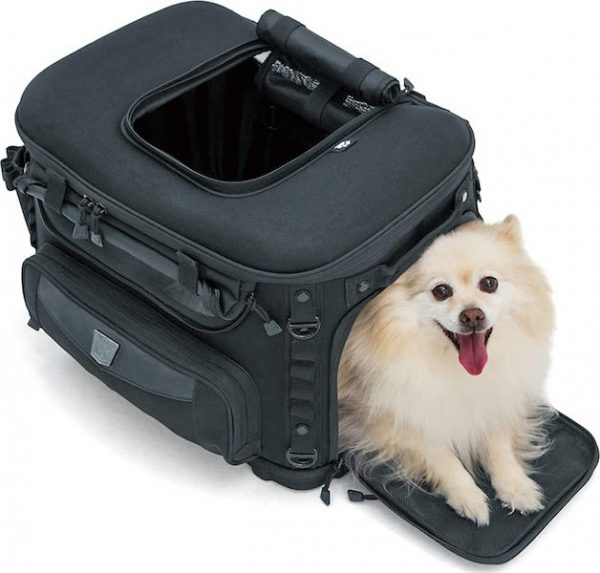 The 4 BEST Motorcycle Dog Carriers (Reviews) in 2024 | R&R